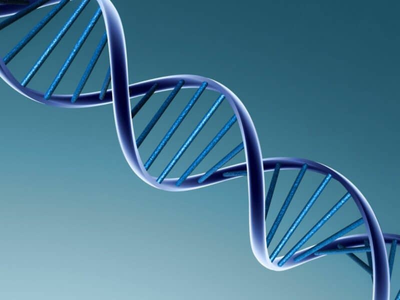 HD Biology Wallpaper - PixelsTalk