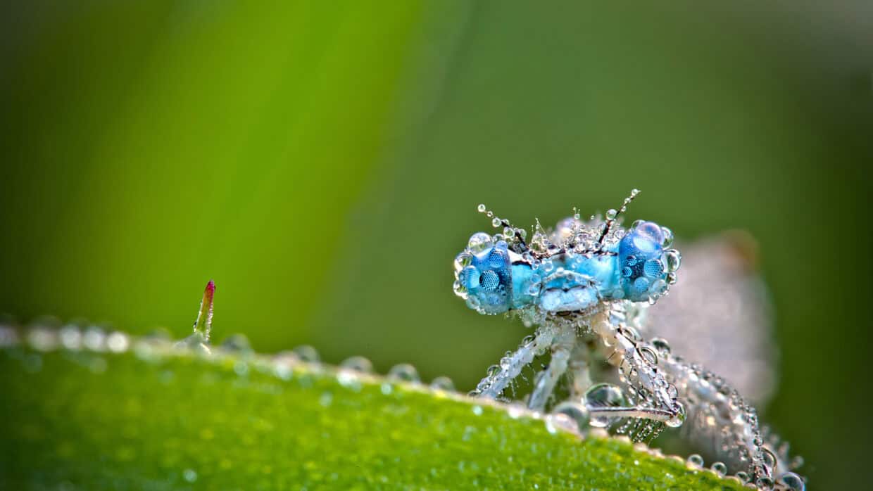 HD Biology Wallpaper - PixelsTalk