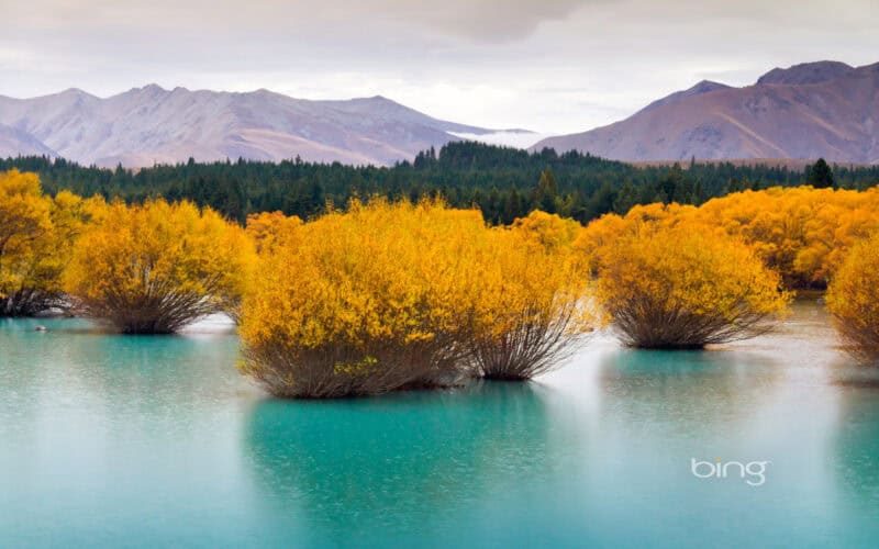 Bing Daily Backgrounds - PixelsTalk