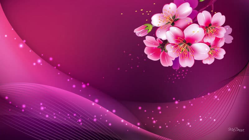 Dark Pink Wallpapers HD - PixelsTalk