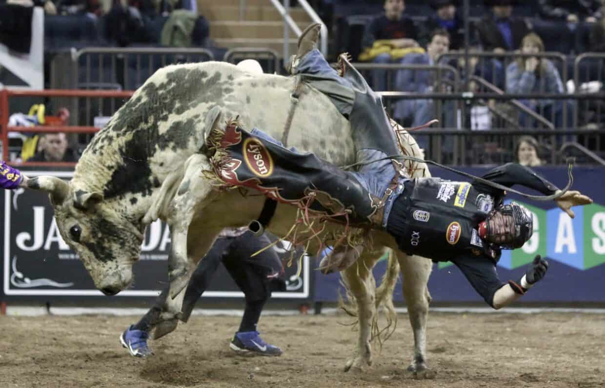 Bull Riding Backgrounds - PixelsTalk