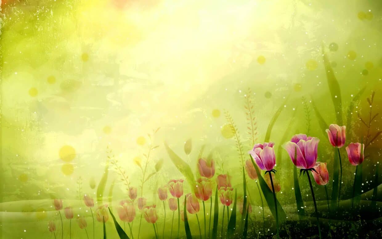 Fabulous Backgrounds - PixelsTalk