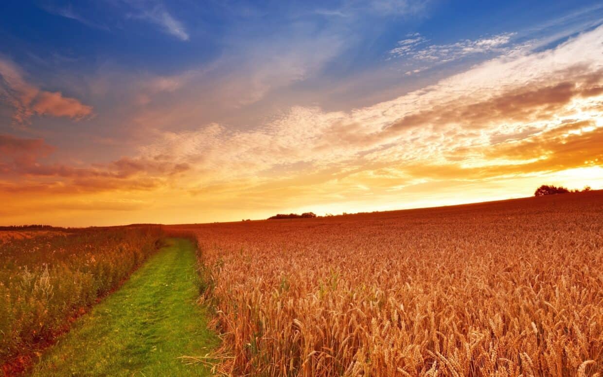 Farming Wallpaper HD - PixelsTalk