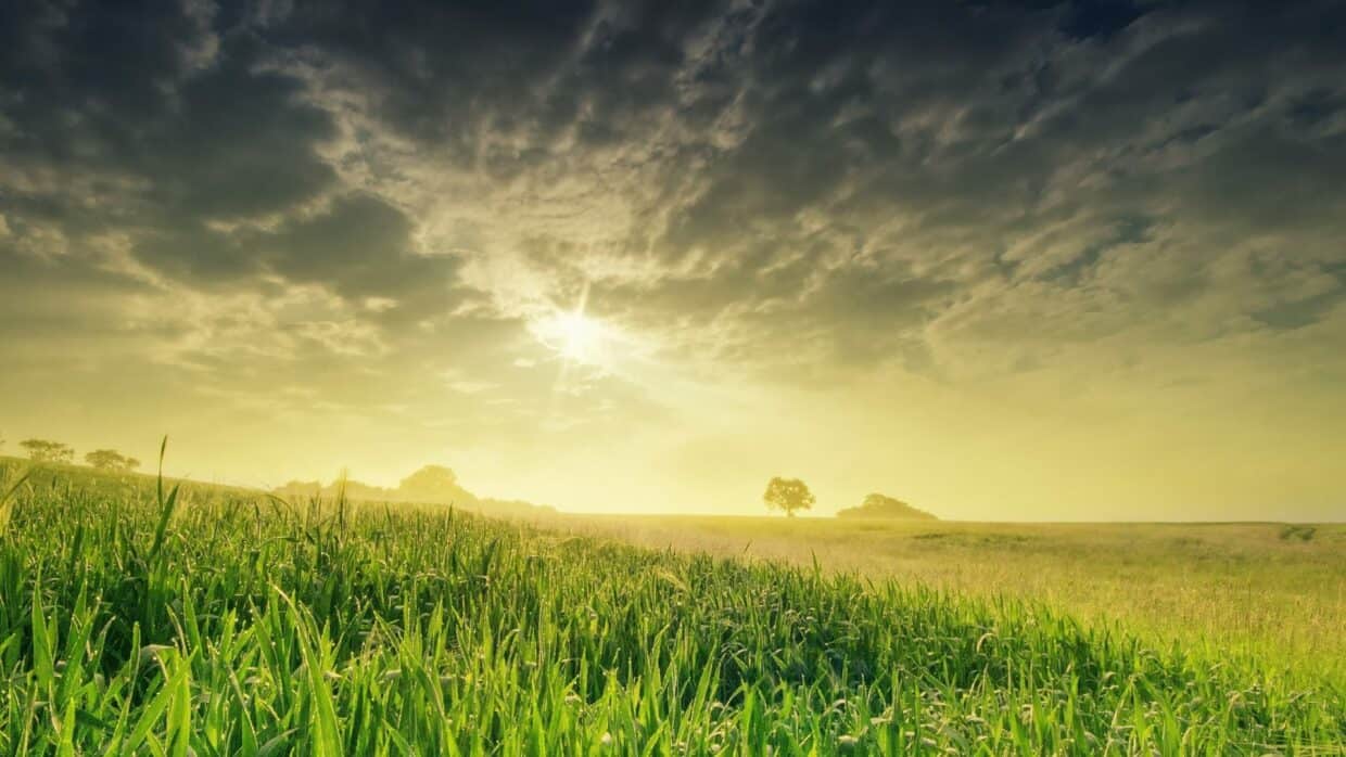 Field Wallpapers HD - PixelsTalk