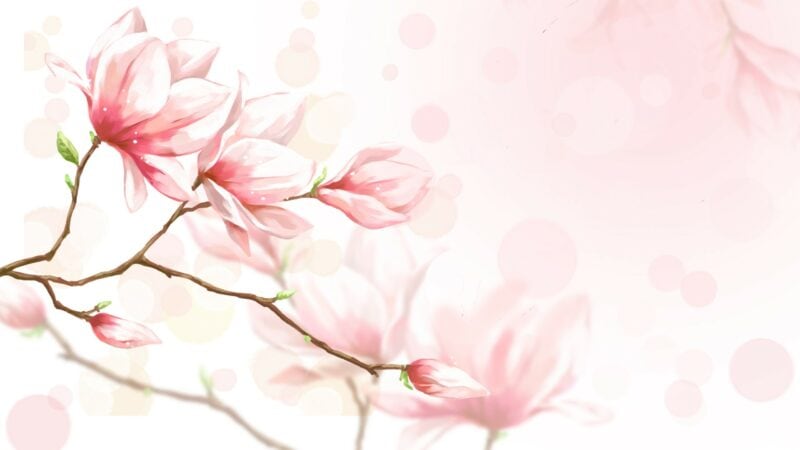 Feminine Wallpapers HD - PixelsTalk