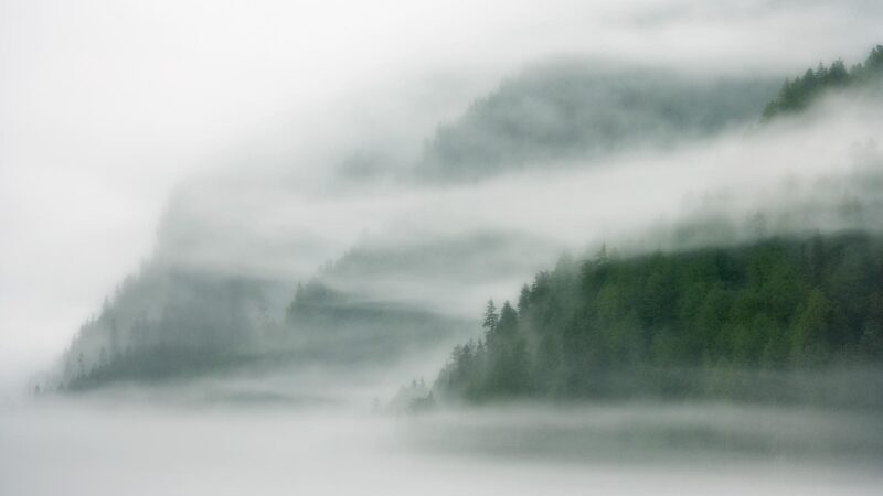 Fog Backgrounds - PixelsTalk