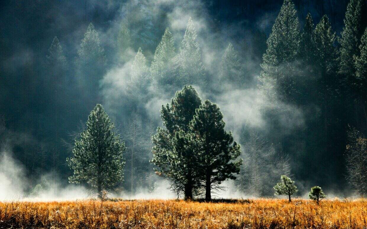 Fog Backgrounds - PixelsTalk