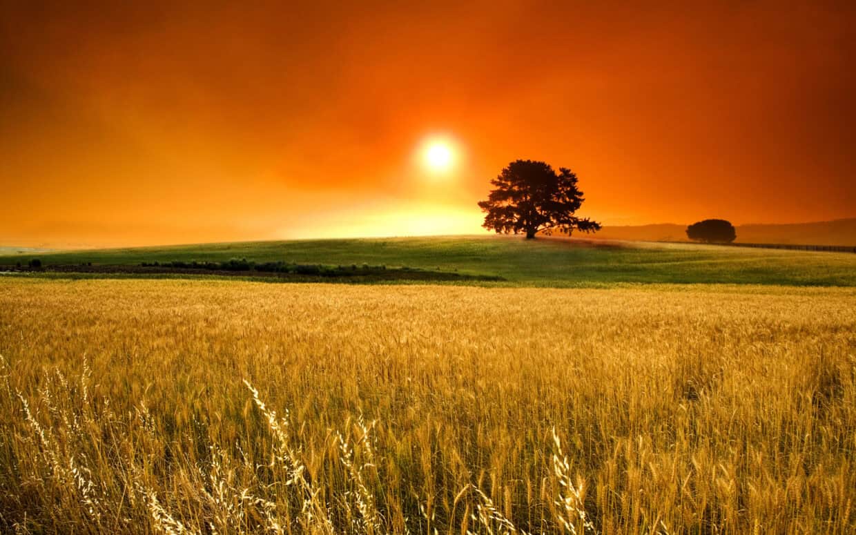 Beautiful Landscape Background HD - PixelsTalk