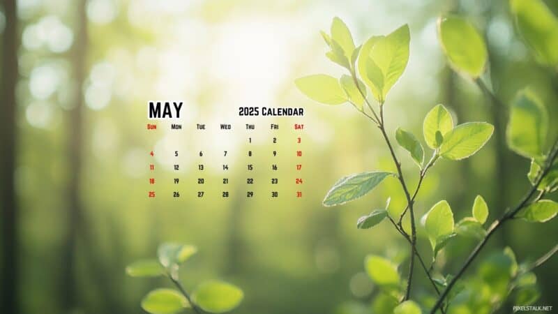 May 2025 Calendar Desktop Wallpapers - PixelsTalk