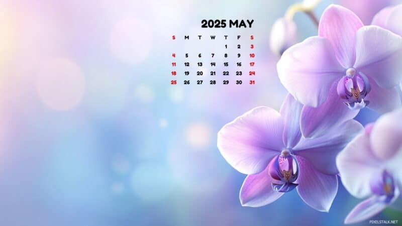 May 2025 Calendar Desktop Backgrounds - PixelsTalk
