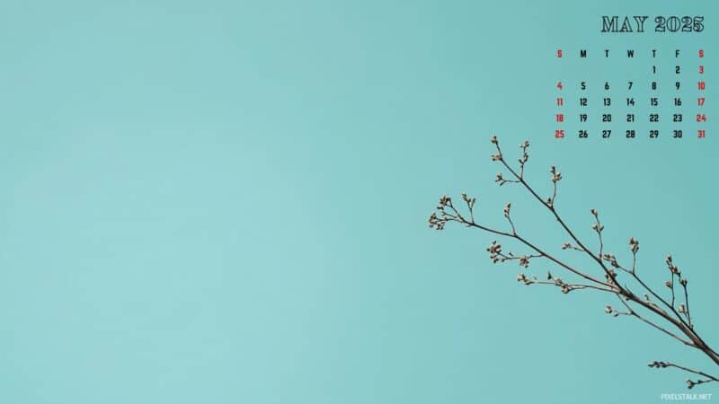 May 2025 Calendar Desktop Backgrounds - PixelsTalk