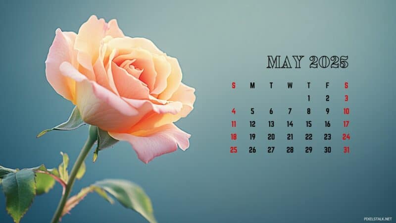May 2025 Calendar Desktop Backgrounds - PixelsTalk