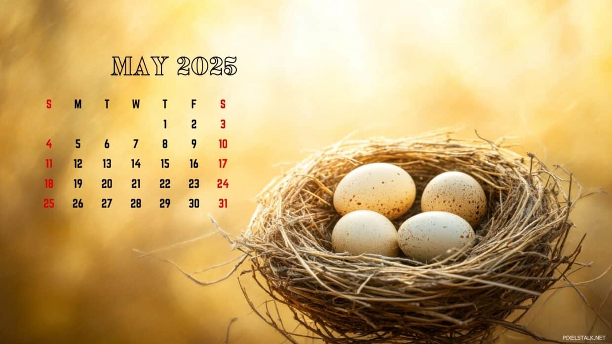May 2025 Calendar Desktop Wallpapers - PixelsTalk
