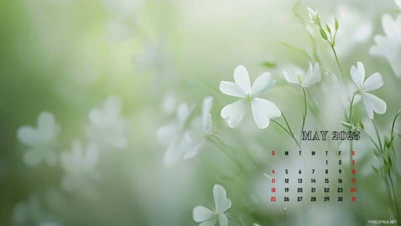 May 2025 Calendar Desktop Wallpapers - PixelsTalk