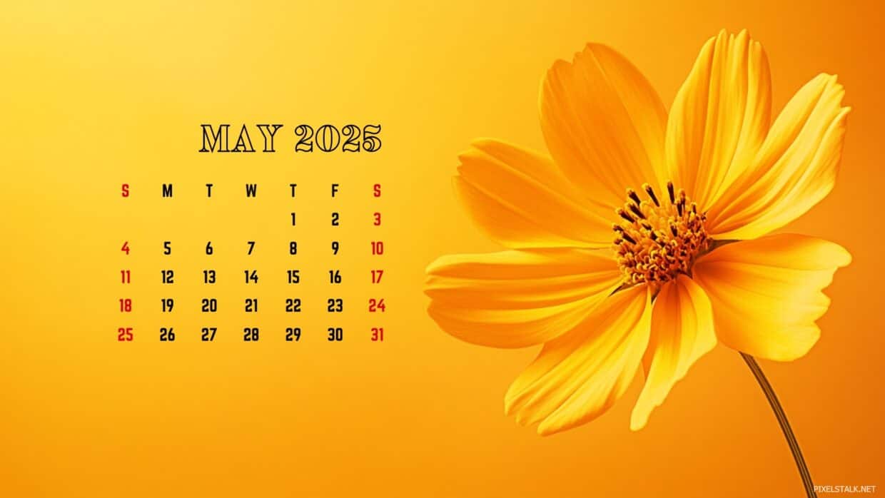 May 2025 Calendar Desktop Backgrounds - PixelsTalk