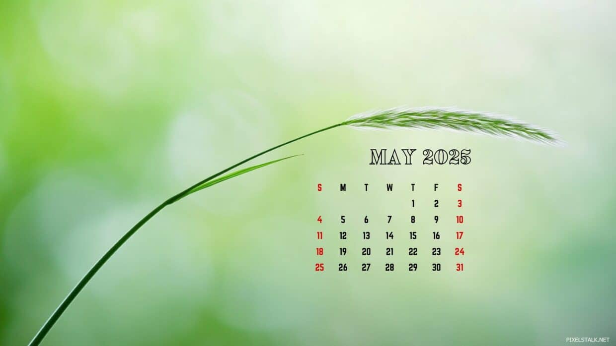 May 2025 Calendar Desktop Wallpapers - PixelsTalk