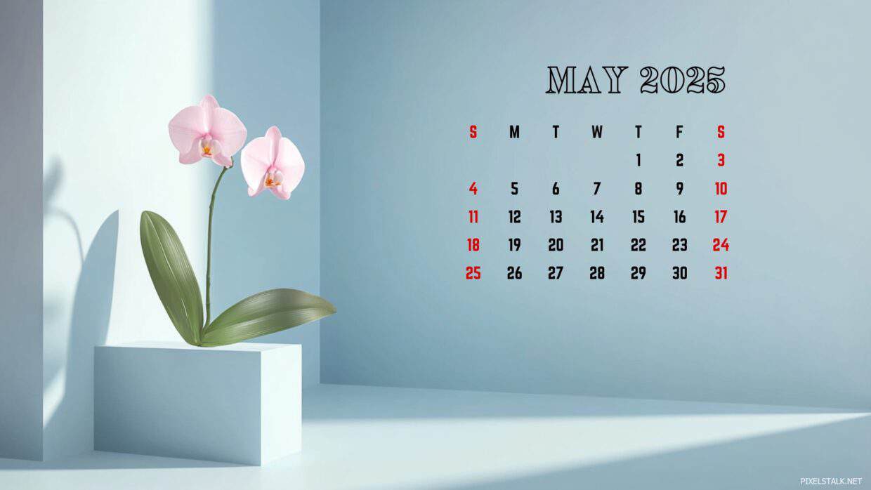 May 2025 Calendar HD Wallpapers - PixelsTalk