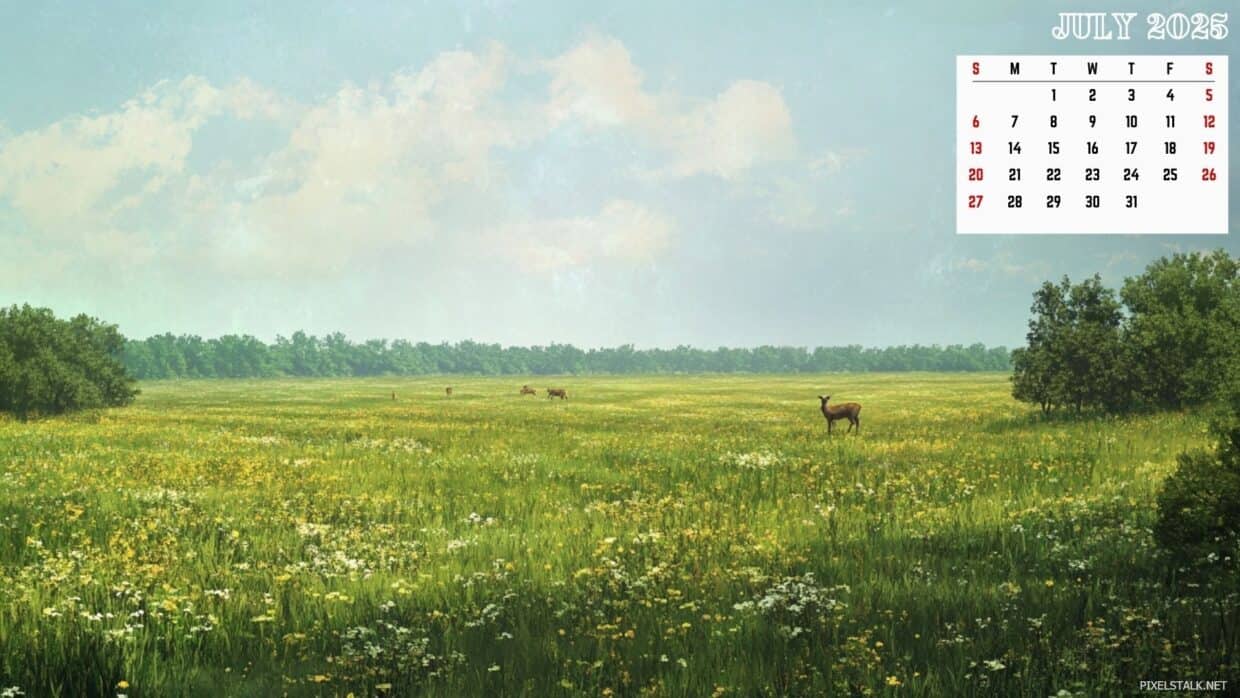 July 2025 Calendar Desktop Wallpaper HD - PixelsTalk