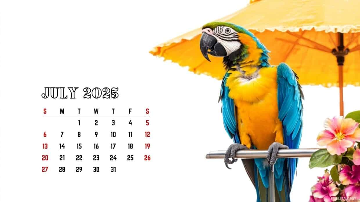 Calendar 2025 July Wallpaper HD for PC - PixelsTalk