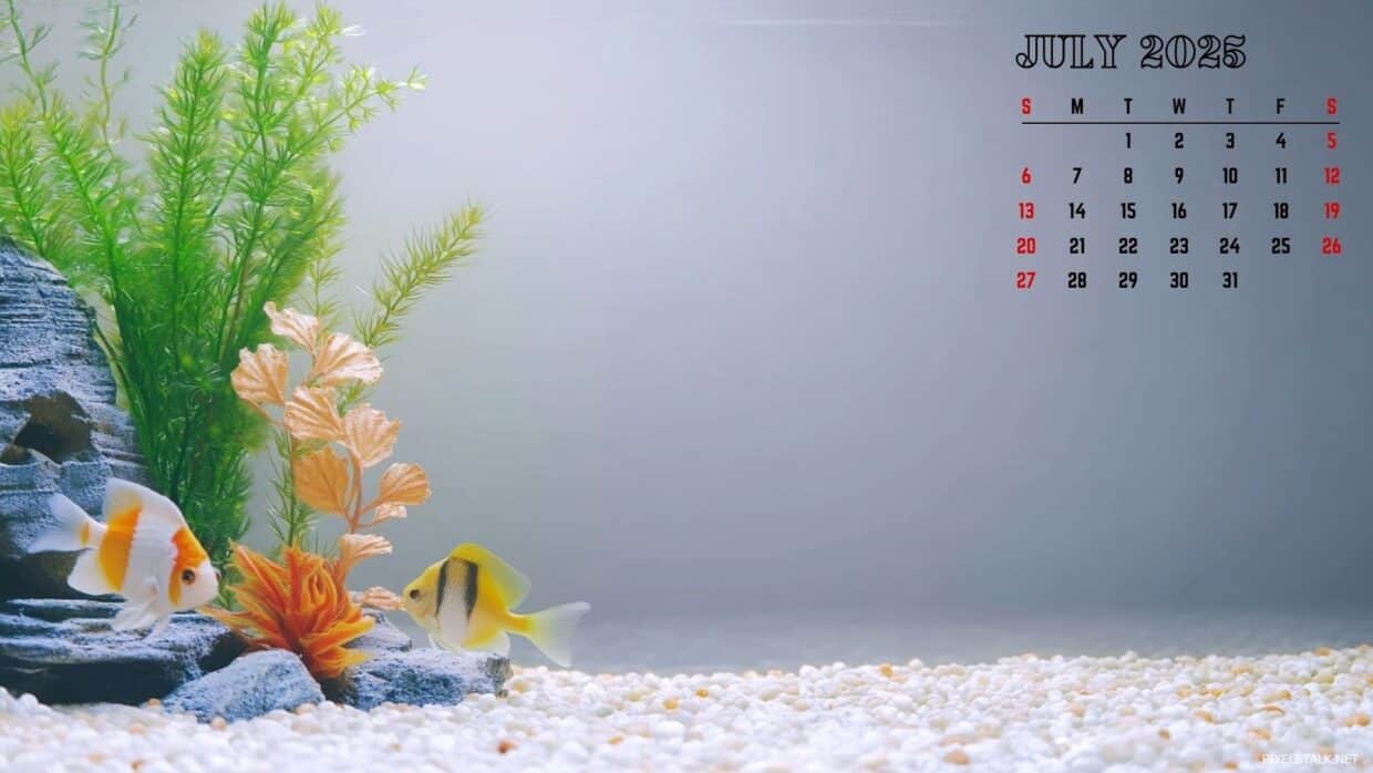 July 2025 Calendar Desktop Wallpaper HD - PixelsTalk