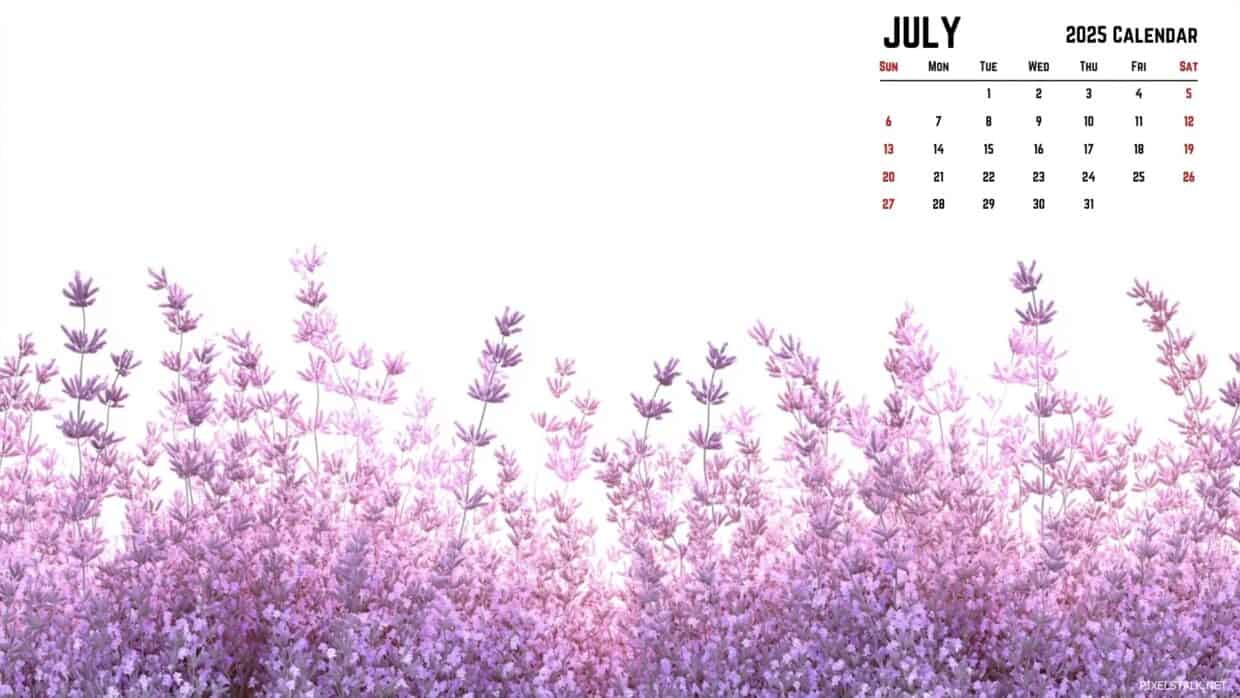 July 2025 Calendar Desktop Wallpaper HD - PixelsTalk