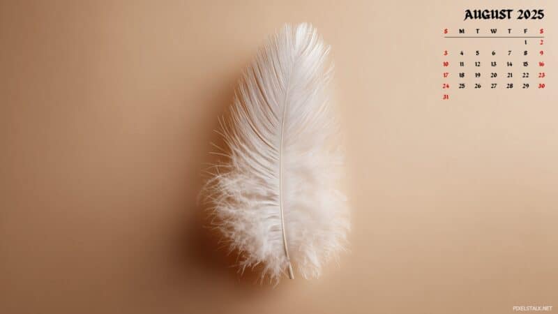 August 2025 Calendar Desktop Wallpapers - PixelsTalk