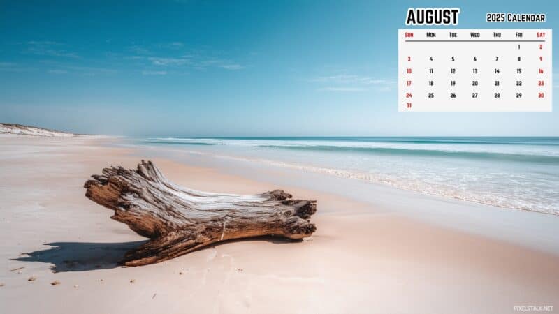 August 2025 Calendar Wallpaper HD - PixelsTalk