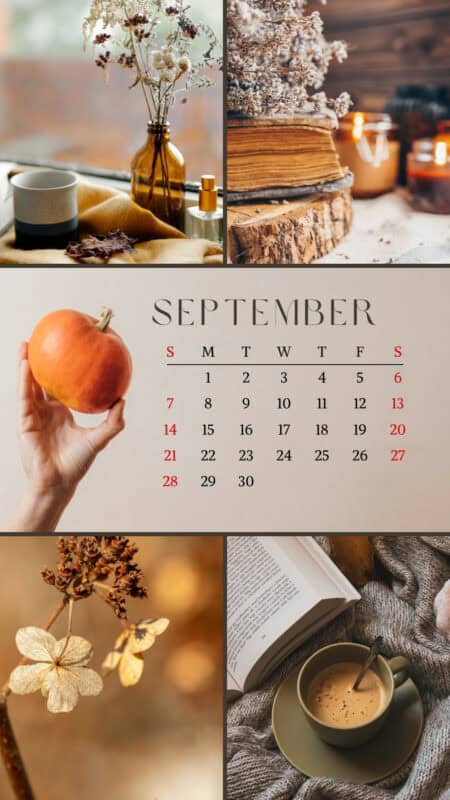 September 2025 Calendar Wallpapers for iPhone and Android - PixelsTalk