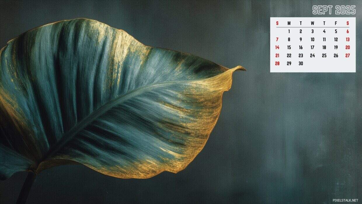 30+ Free September 2025 Calendar Desktop Wallpapers in HD - PixelsTalk