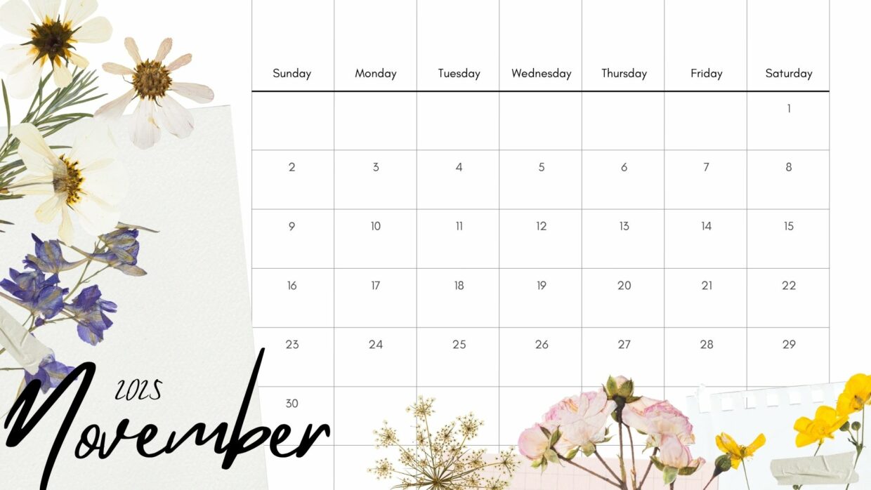 November 2025 Wallpaper HD for Your Desktop - PixelsTalk