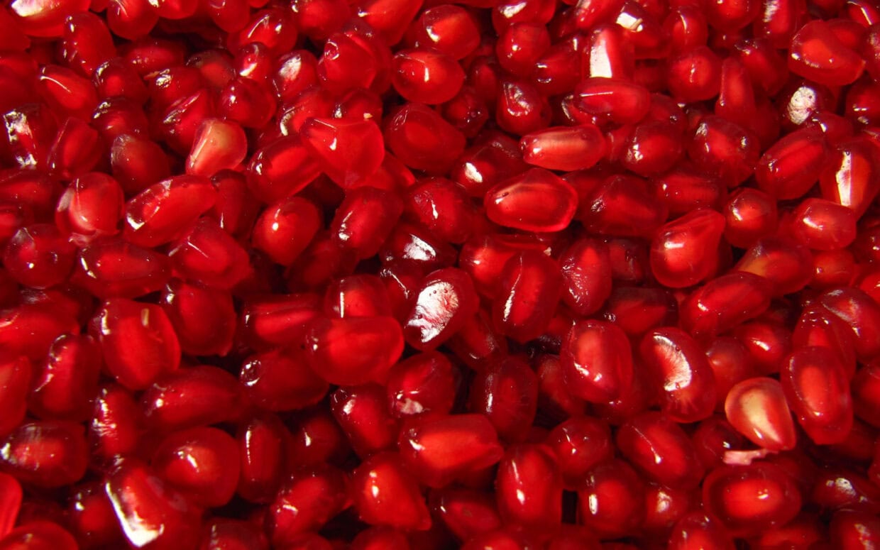 Seeds Wallpaper - PixelsTalk