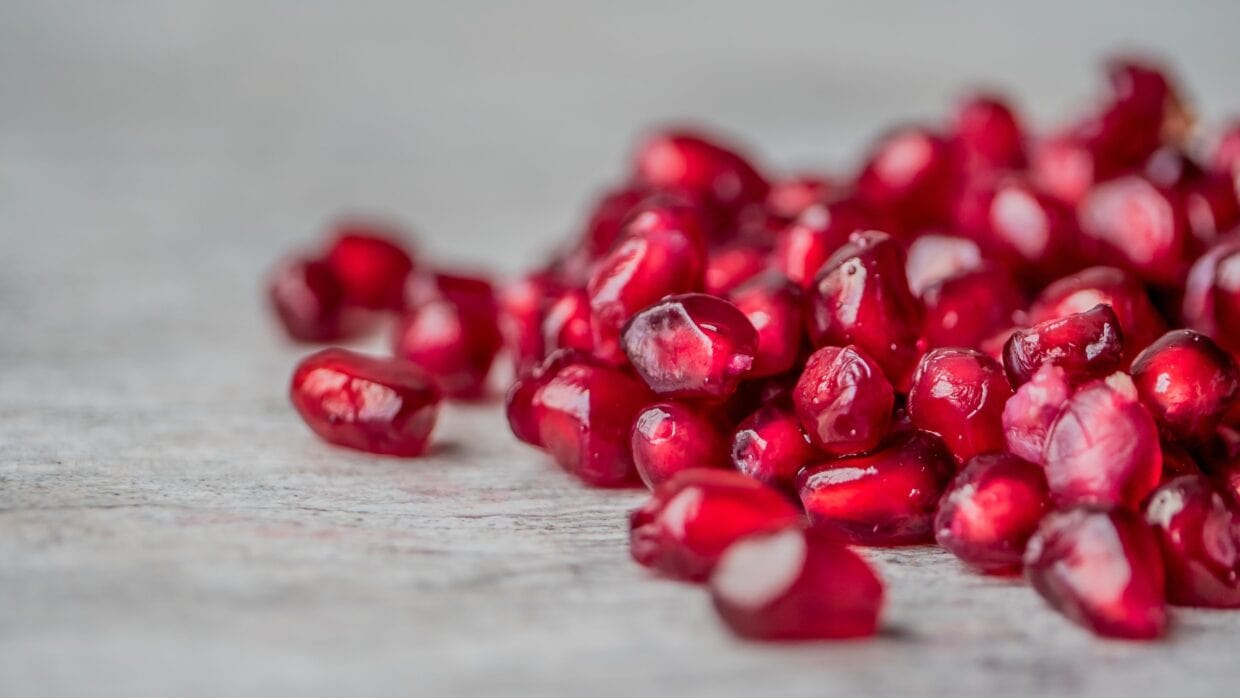 Seeds Wallpaper - PixelsTalk