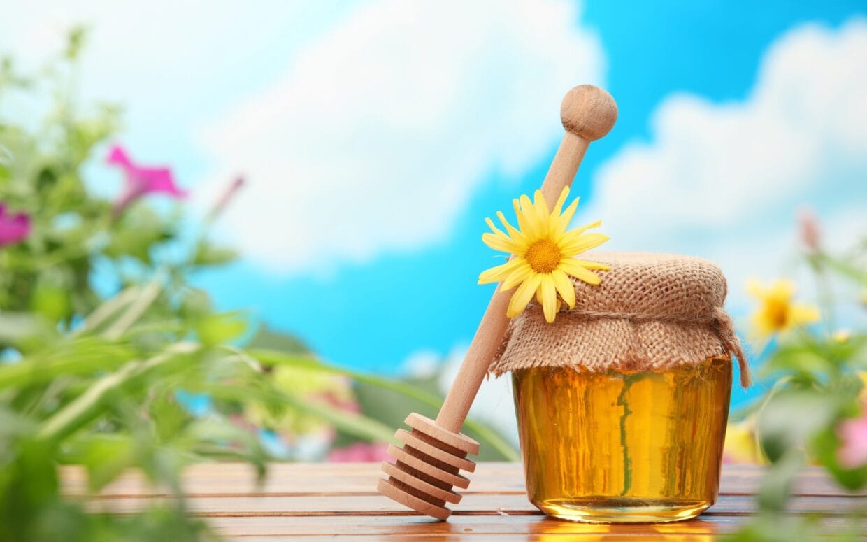 Honey Wallpapers - PixelsTalk
