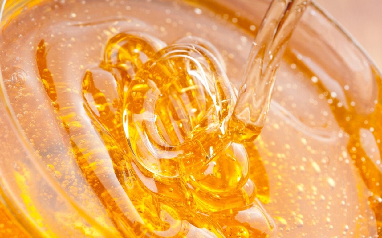 Honey Wallpapers - PixelsTalk