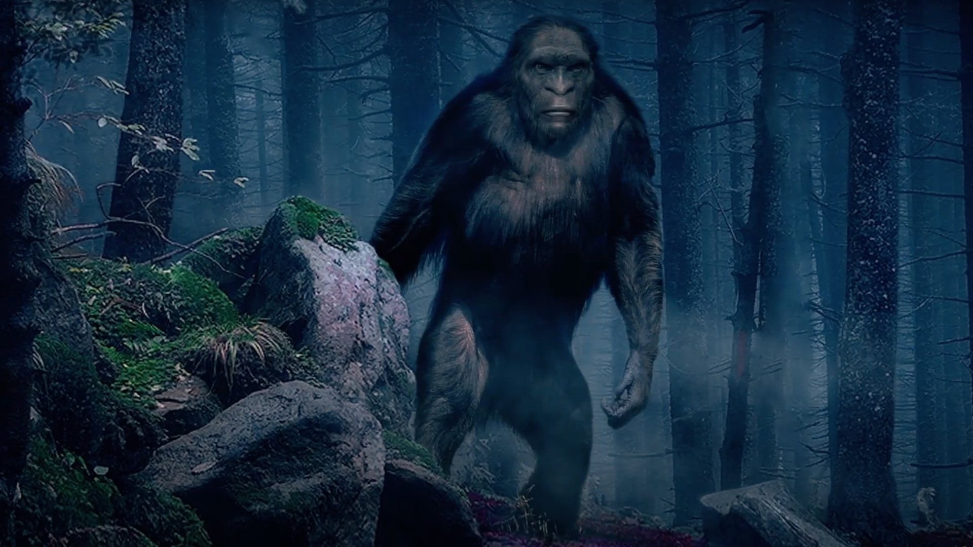 Bigfoot Wallpapers - PixelsTalk