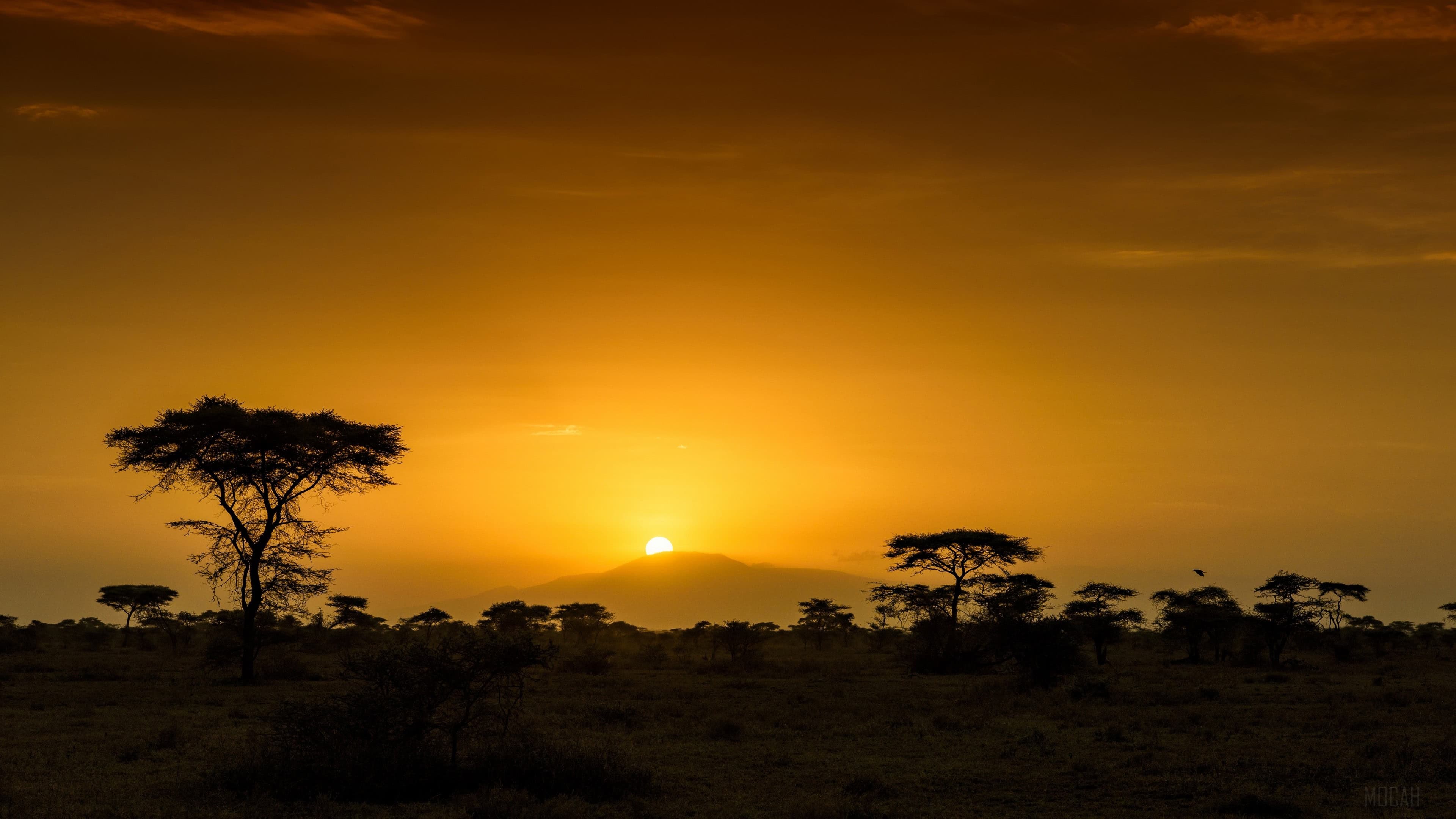 Tanzania Wallpapers - PixelsTalk