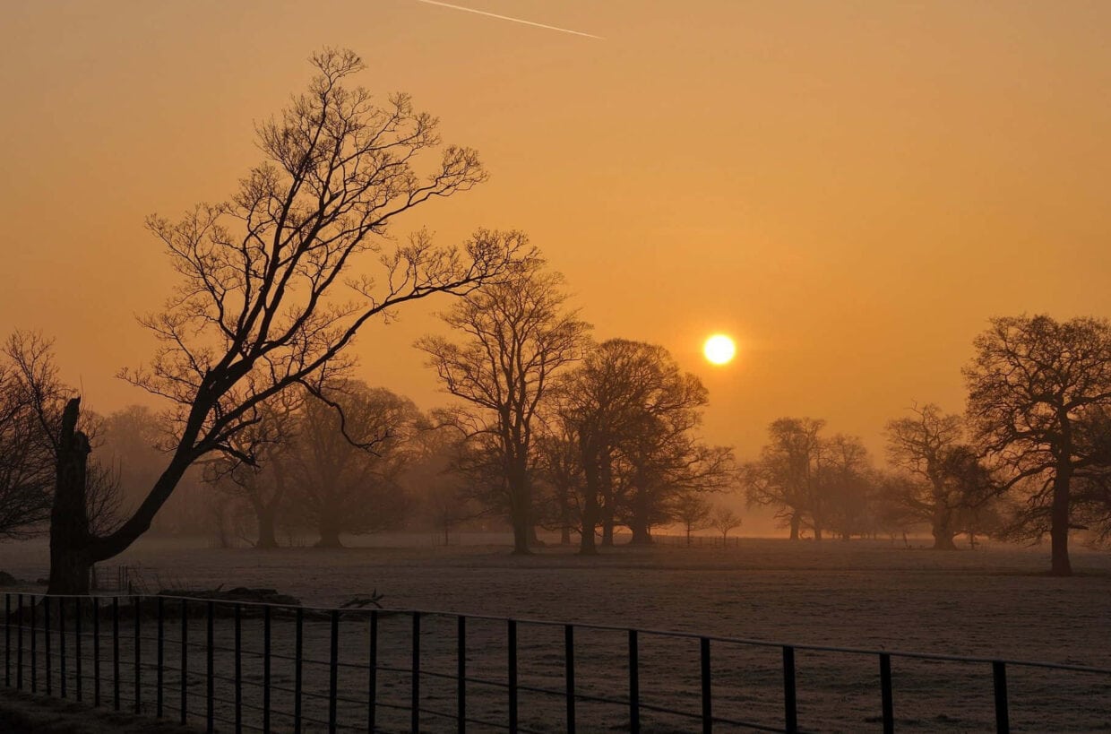 Winter Sun Wallpapers - PixelsTalk