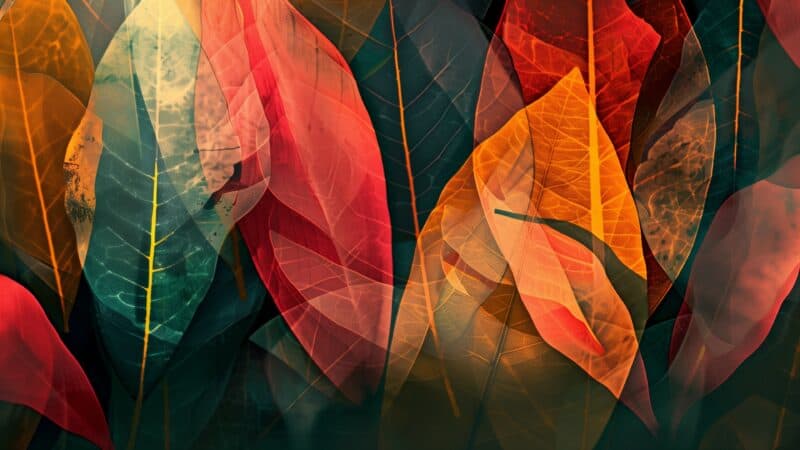 Abstract 4K Backgrounds - PixelsTalk