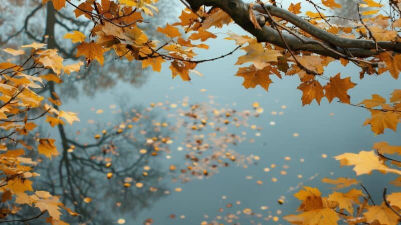Autumn Desktop Wallpapers - PixelsTalk