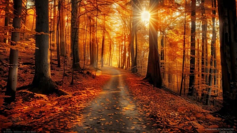 Fall Backgrounds - PixelsTalk