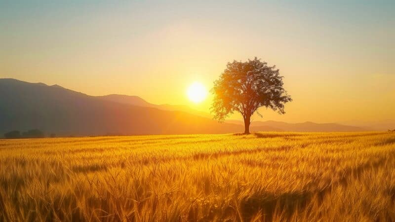 Country Desktop Wallpapers - PixelsTalk