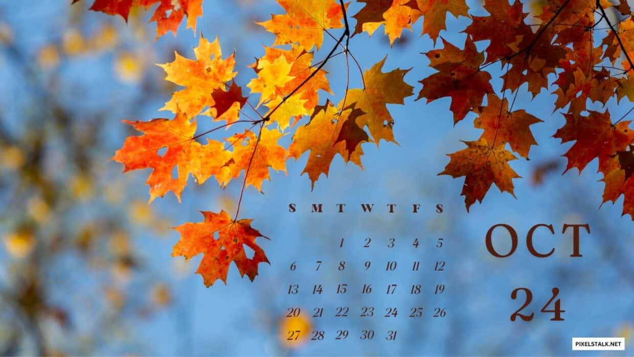 October 2024 Calendar Backgrounds - PixelsTalk