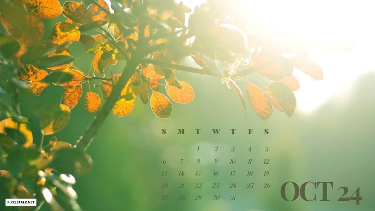 October 2024 Calendar Backgrounds - PixelsTalk