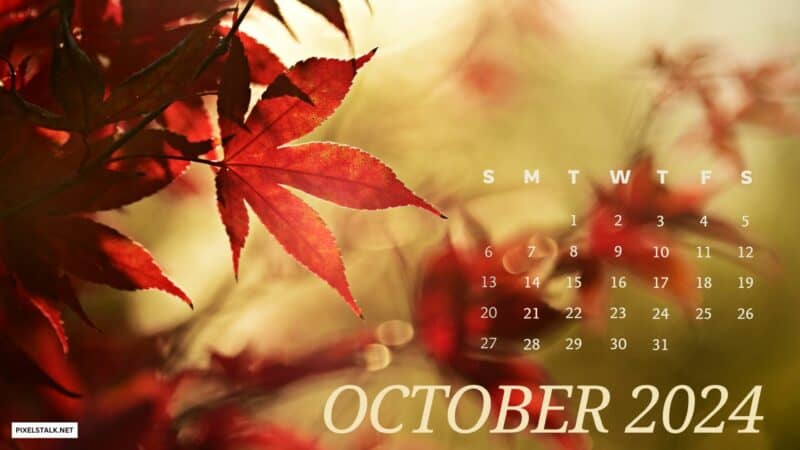 October 2024 Calendar Desktop Wallpapers - PixelsTalk