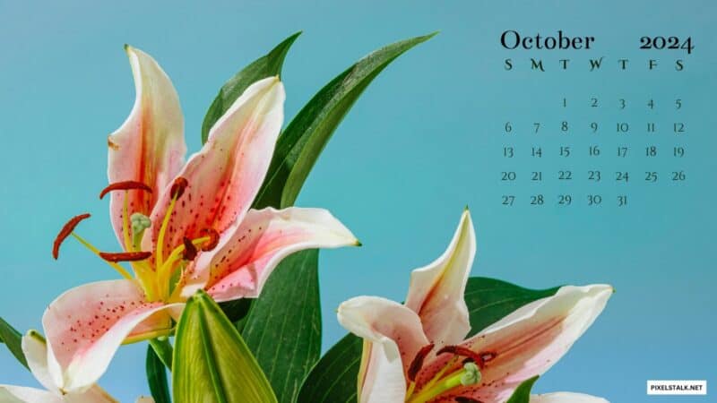 October 2024 Calendar Backgrounds - PixelsTalk