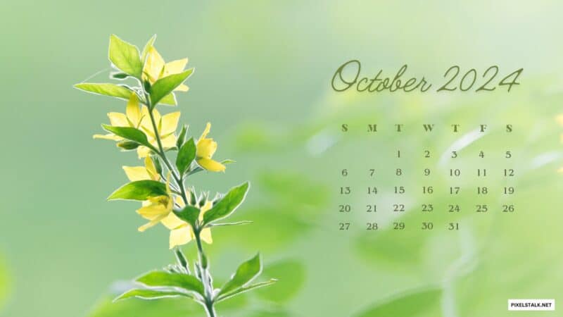 October 2024 Calendar Wallpaper HD - PixelsTalk