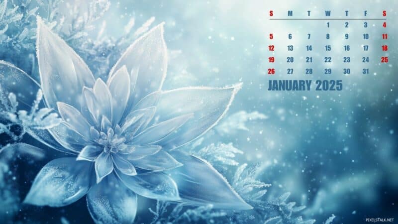 2025 January Calendar HD Wallpapers - PixelsTalk