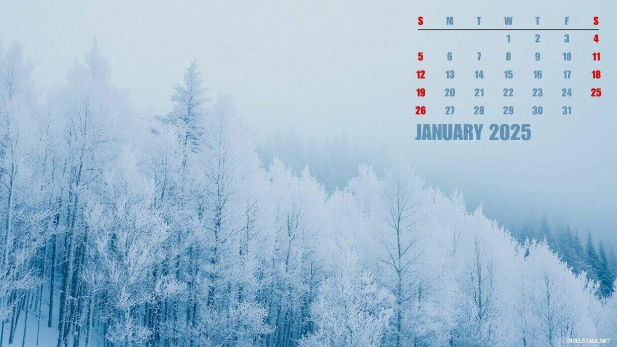 2025 January Calendar Desktop Wallpapers - PixelsTalk