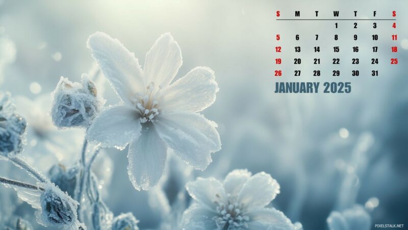 2025 January Calendar Desktop Wallpapers - PixelsTalk