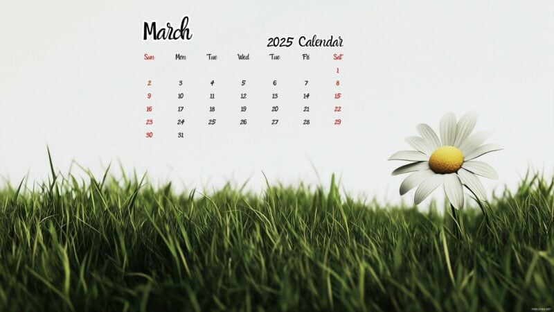 March 2025 Calendar Desktop Backgrounds - PixelsTalk